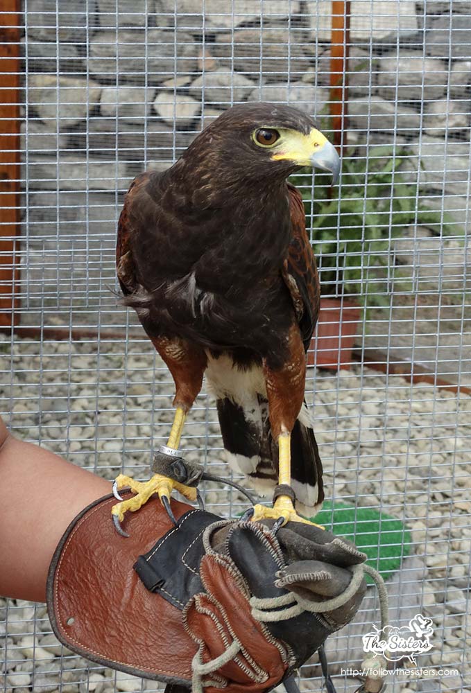 Top things to see and do in Sliven: the city of the Blue Rocks